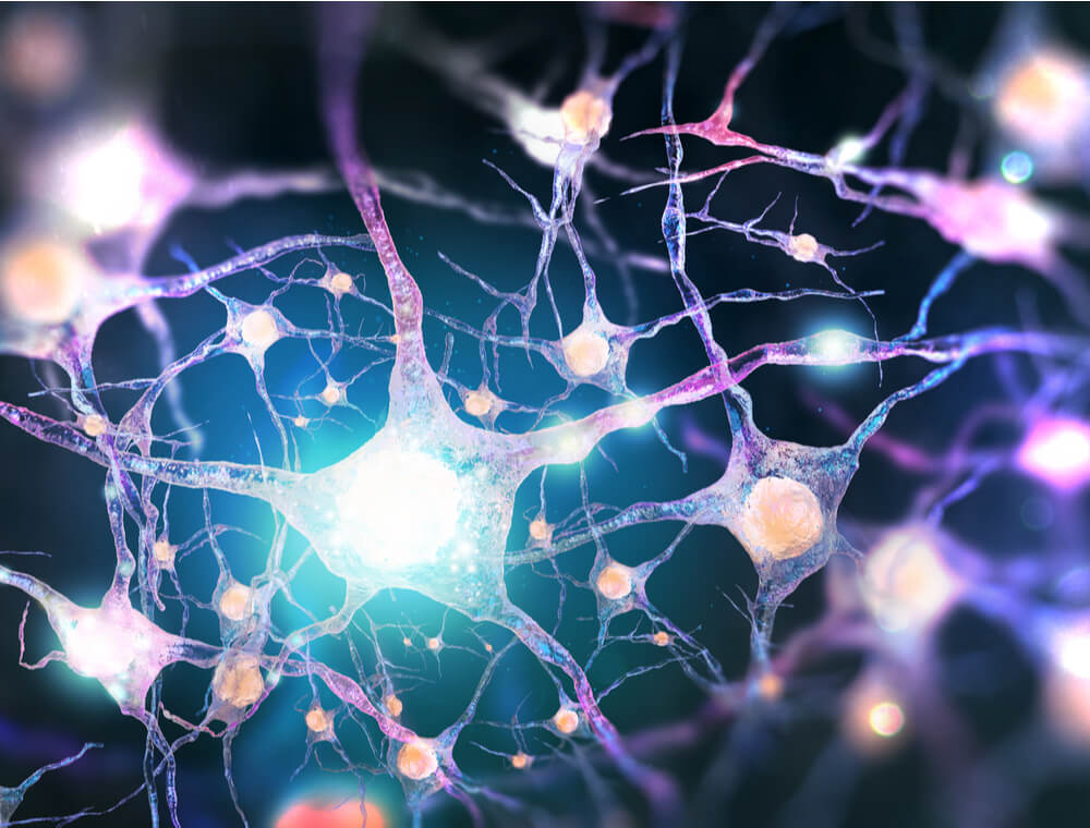 CAUSES AND SYMPTOMS OF HORNER-BERNARD SYNDROME